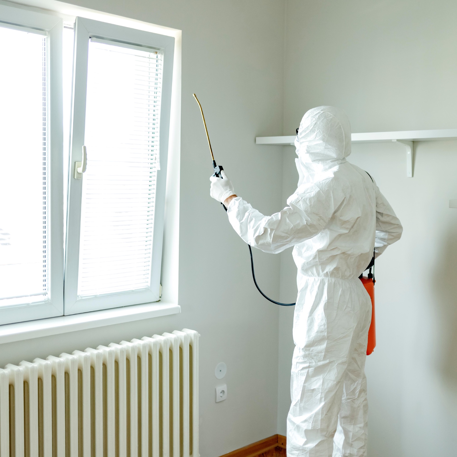 Insulation & decontamination specialists | Forceo